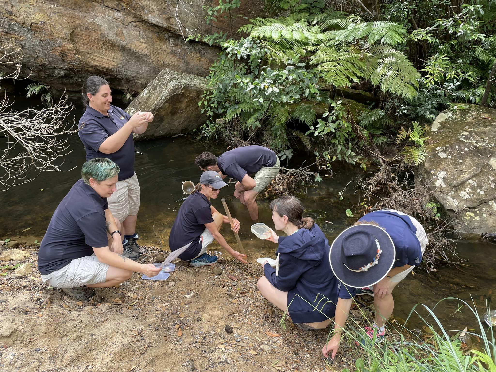 Auseco Education - Field Study Excursions for NSW Schools