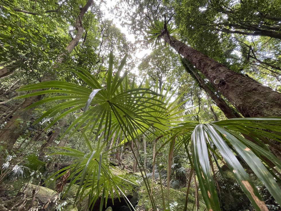 Field study excursions - Sydney - Stage 4 Geography excursions - Auseco ...