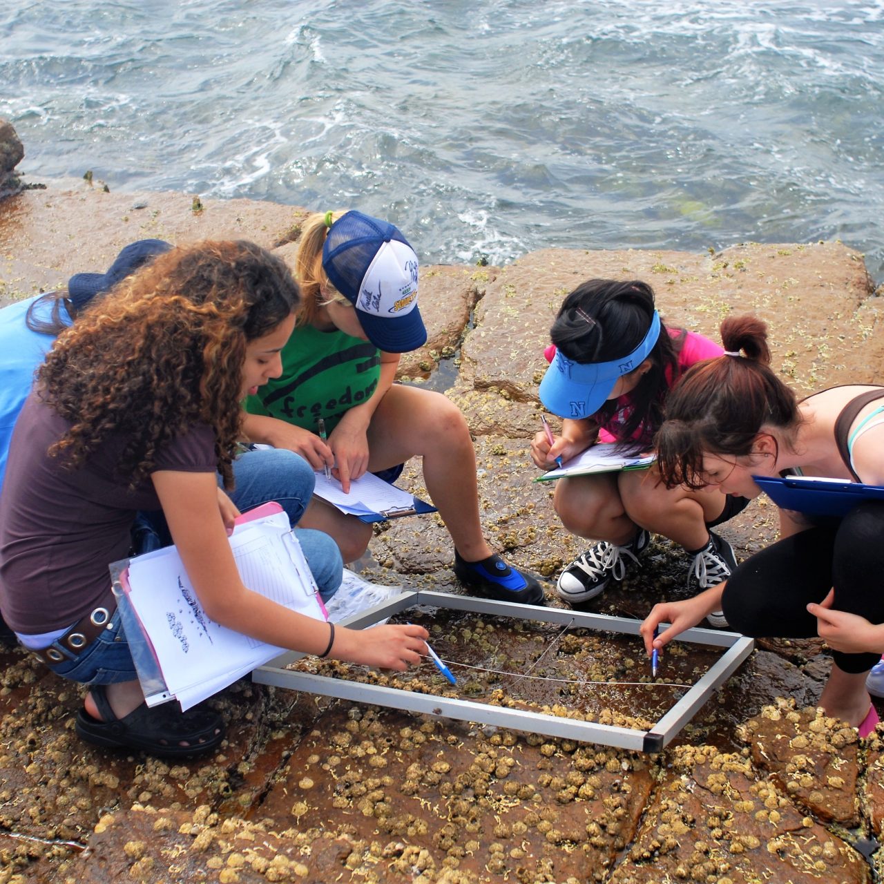 Auseco Education - Field Study Excursions for NSW Schools